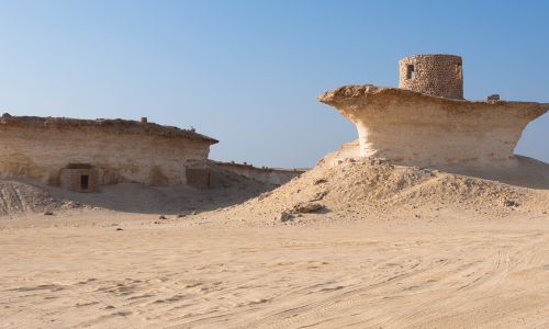 Cruise Services | Discover Qatar